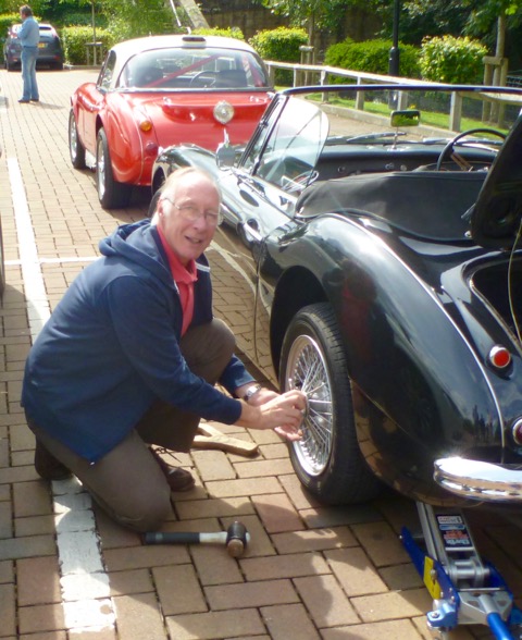 AHCN - Past Events - Tatton Park: Aug 2013